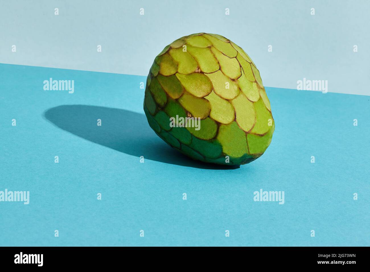 Close up high quality image of whole sugar-apple, fruit of Annona ...