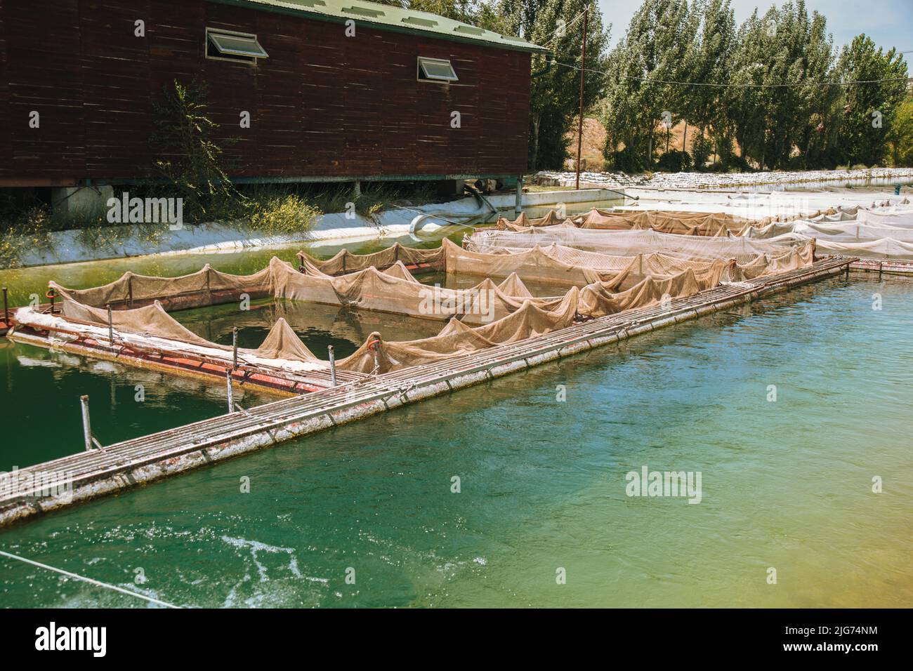 Cages for fish farming in pond with freshwater Stock Photo - Alamy