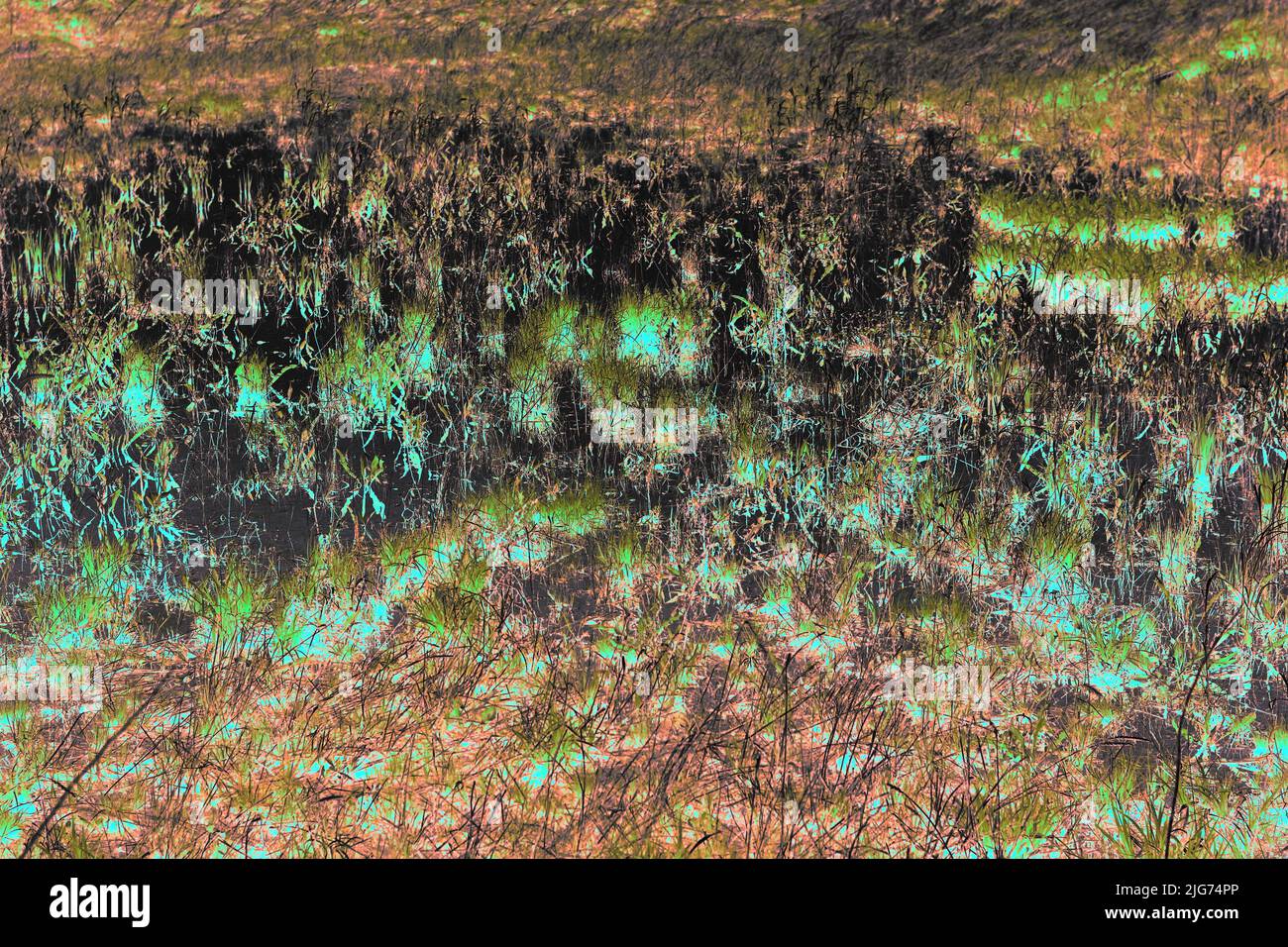 A flat field flooded with spring rain water in a bright neon color film ...