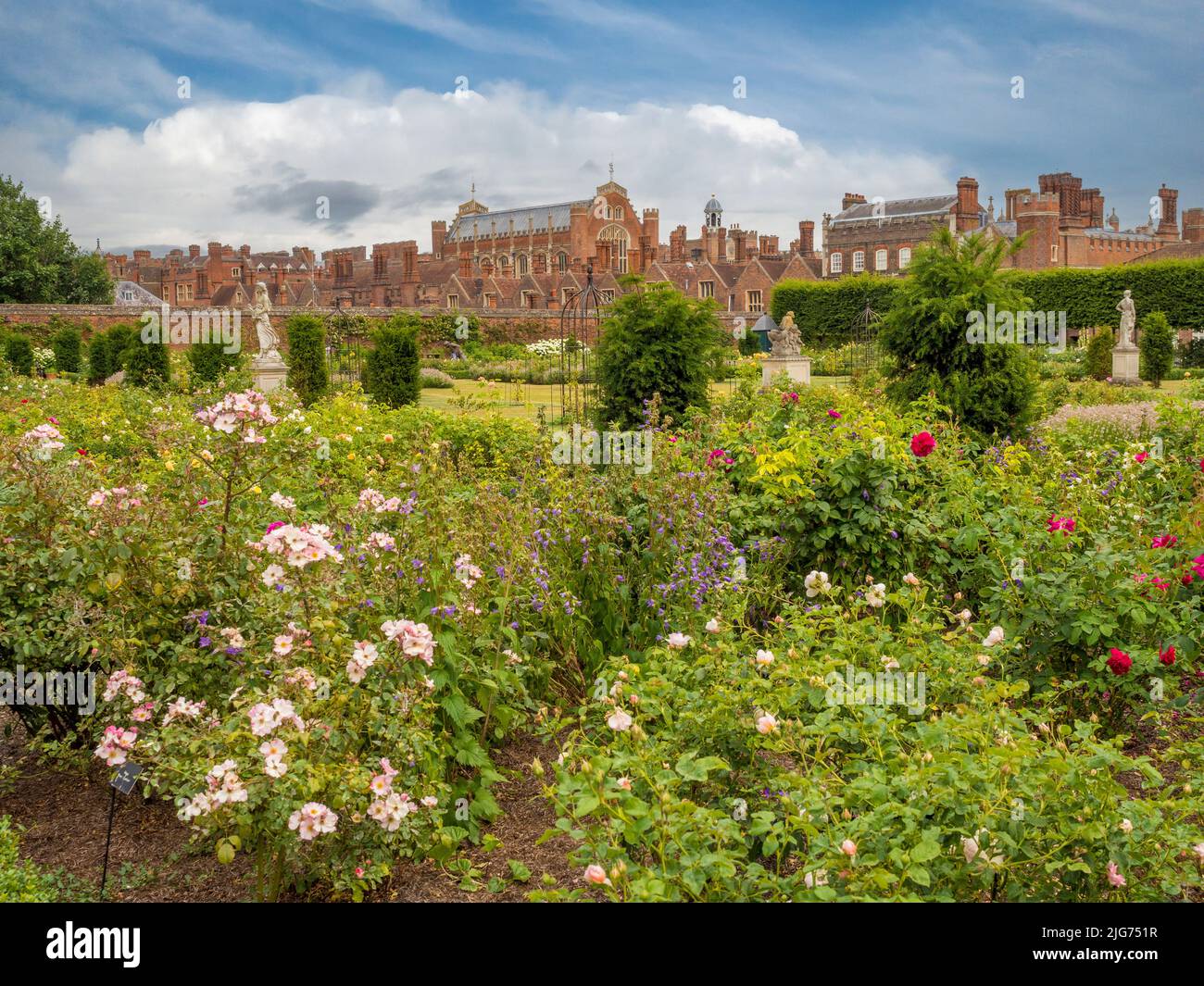 The Rose Garden at Hampton Palace. London. UK Stock Photo - Alamy