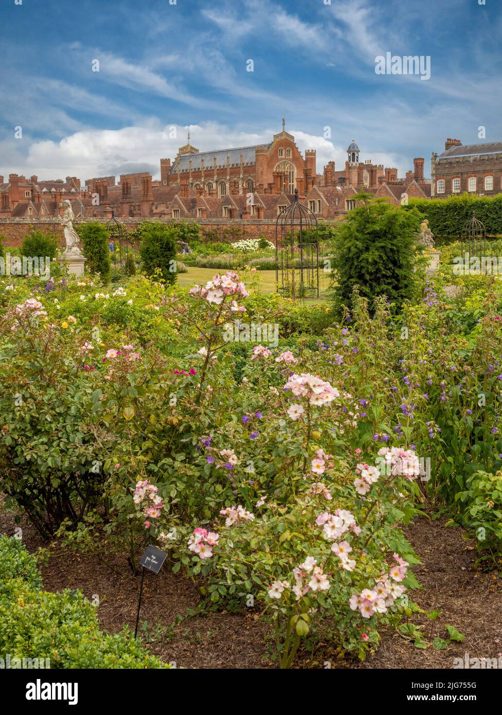 The Rose Garden at Hampton Palace. London. UK Stock Photo - Alamy