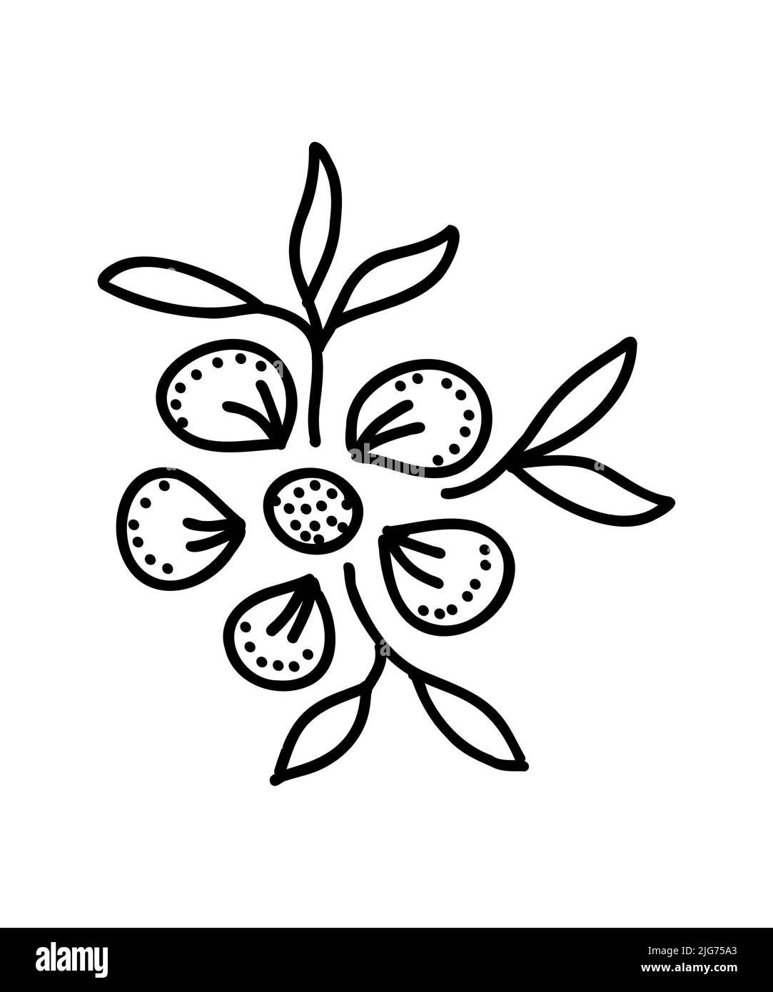 Flower icon. Trendy contour vector illustration of flower for web sites ...