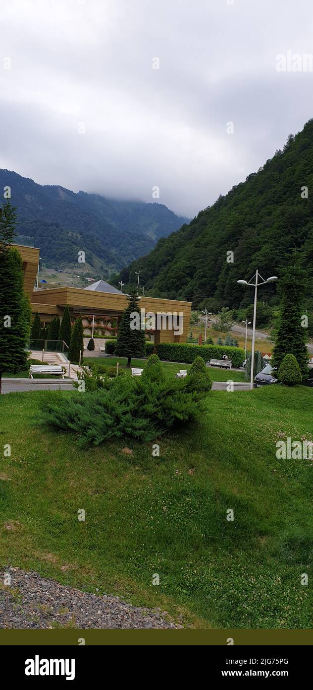 Natural enjoy Stock Vector Images - Alamy