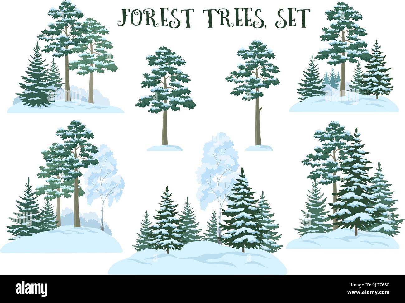 Seamless Horizontal Christmas Winter Forest Landscape with Birch, Firs ...