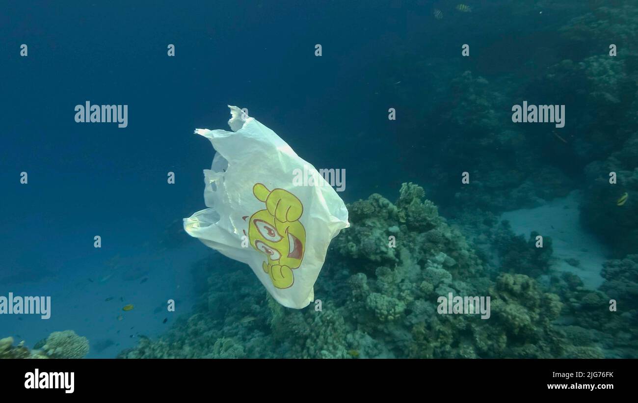 White plastic shoping bag with smiley face drifting underwater near ...