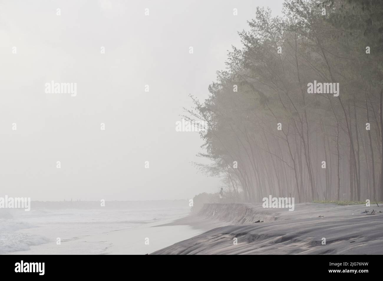 Foggy Indian beach and a man Stock Photo - Alamy
