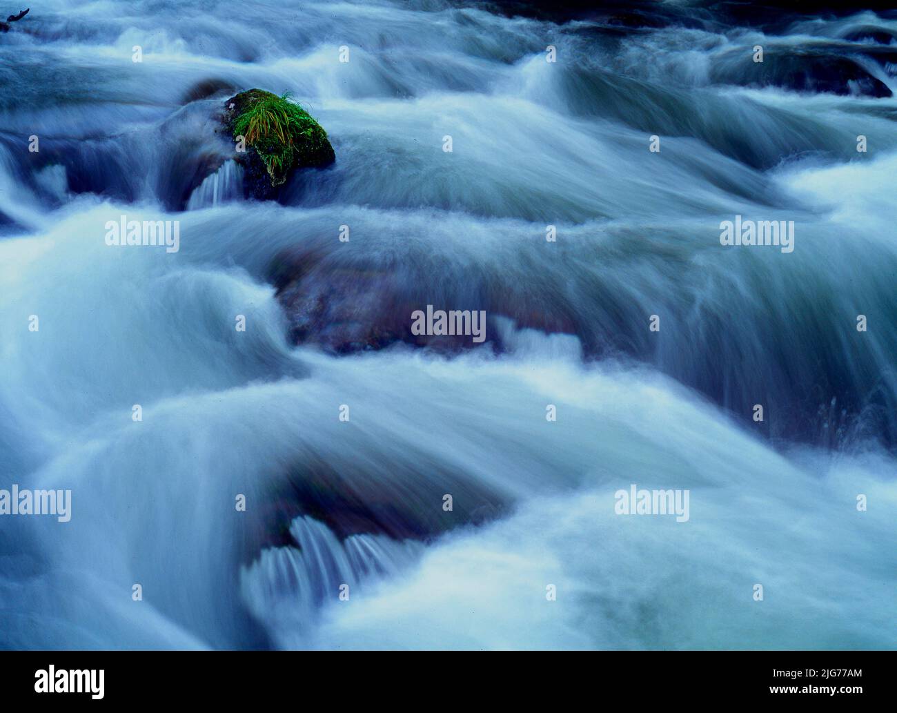 Wild stream with stones and moss Stock Photo - Alamy