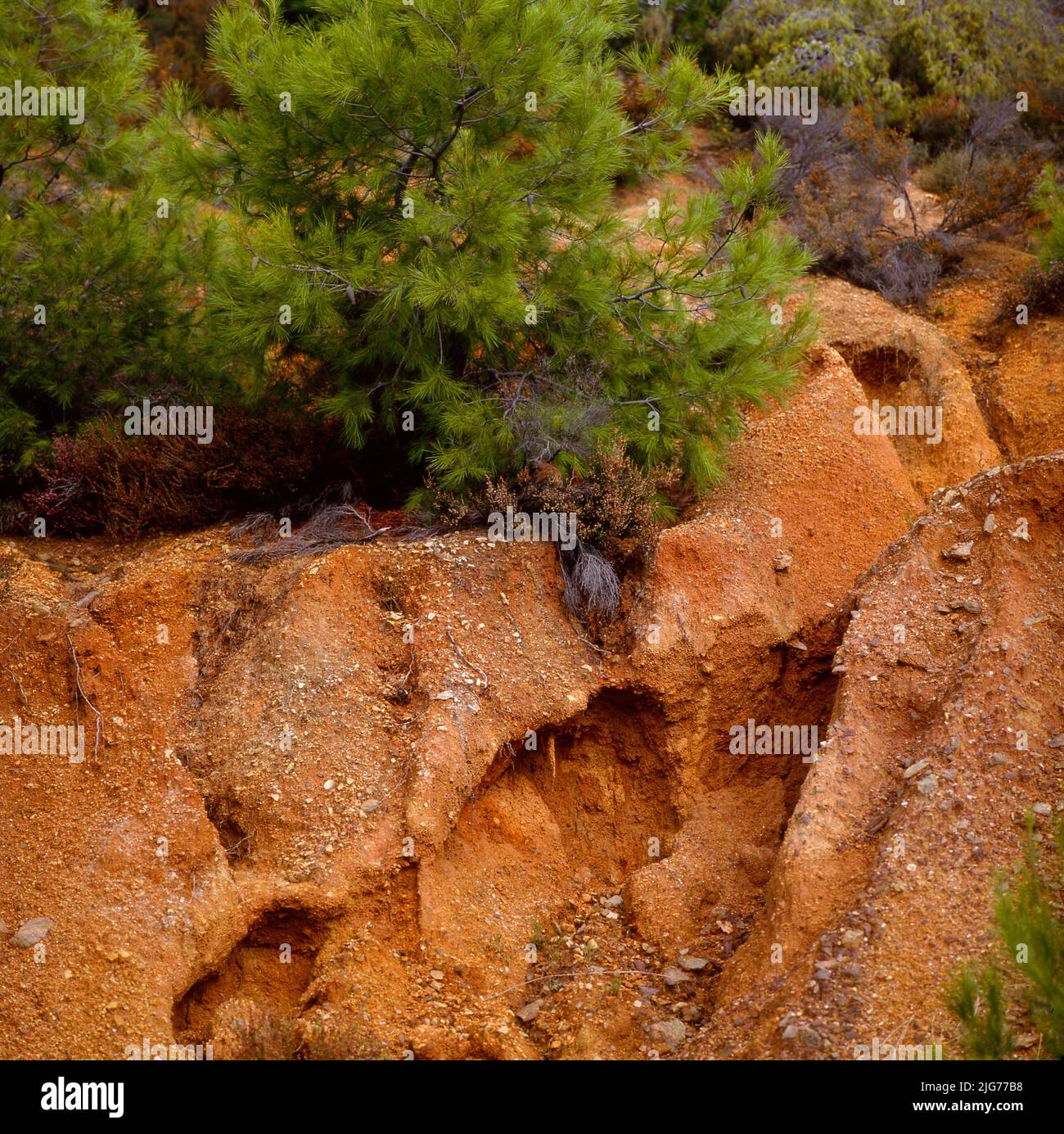 Soil erosion, Thessaly Greece Stock Photo - Alamy