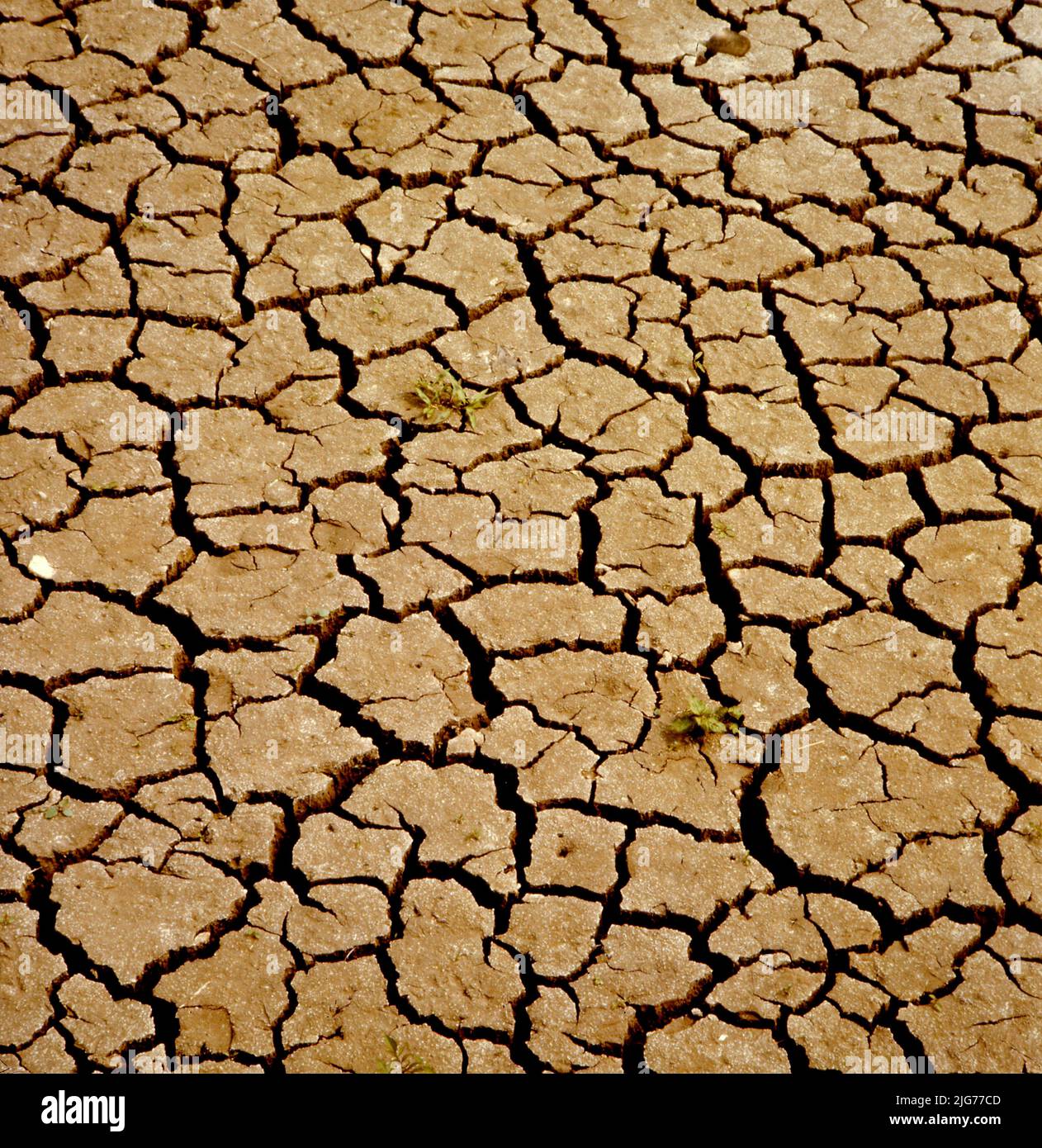 Ripped up earth Stock Photo - Alamy