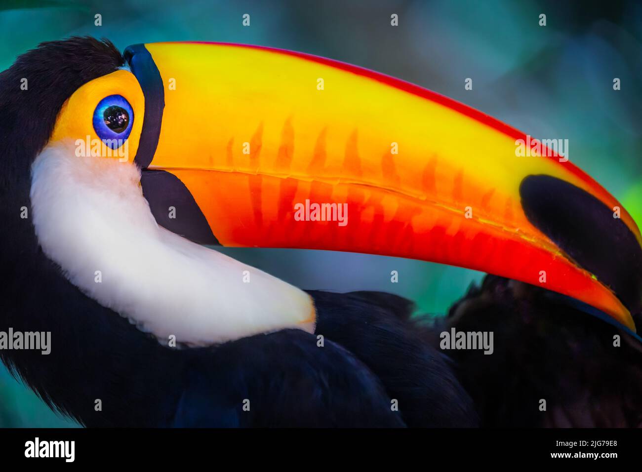 Rio toco hi-res stock photography and images - Alamy