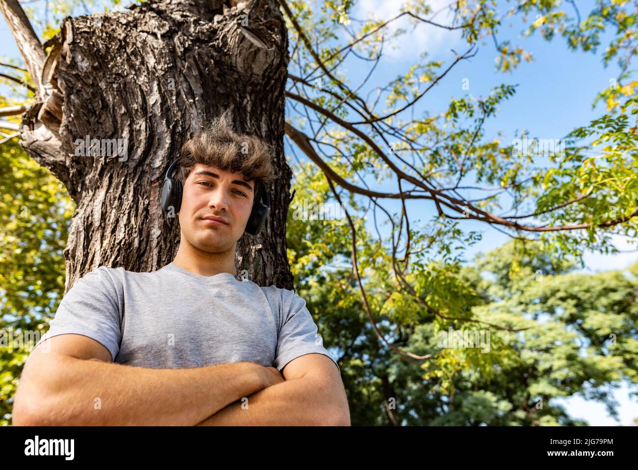 Man face tree hi-res stock photography and images - Alamy