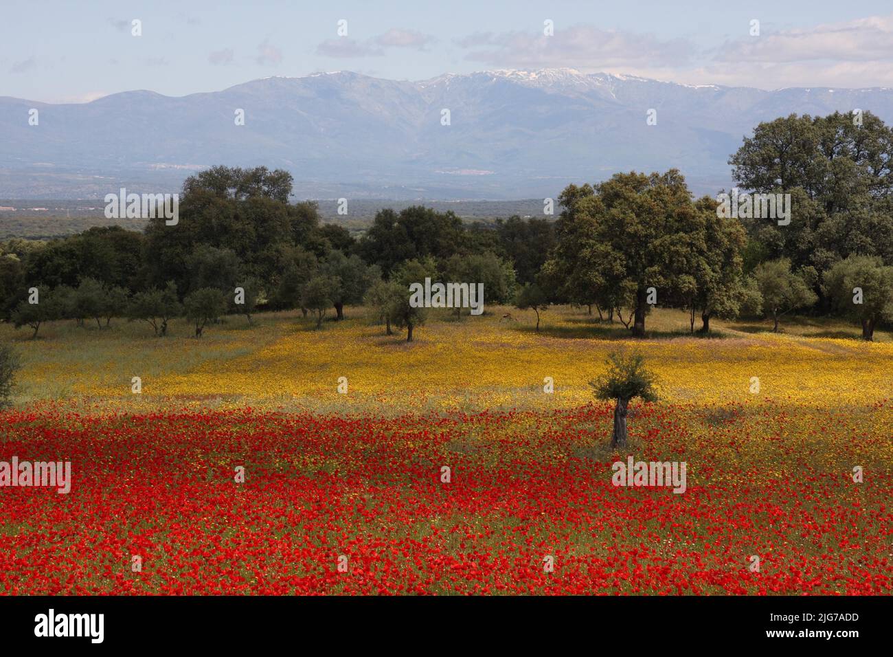 Sierra de serrejon hi-res stock photography and images - Alamy