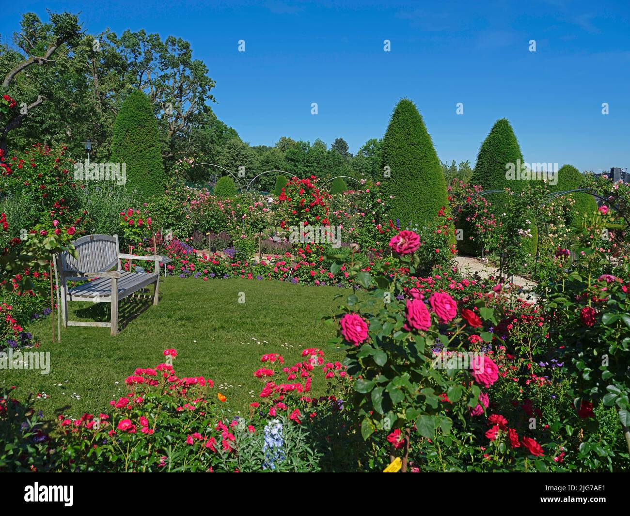 Rose garden hadamar hi-res stock photography and images - Alamy