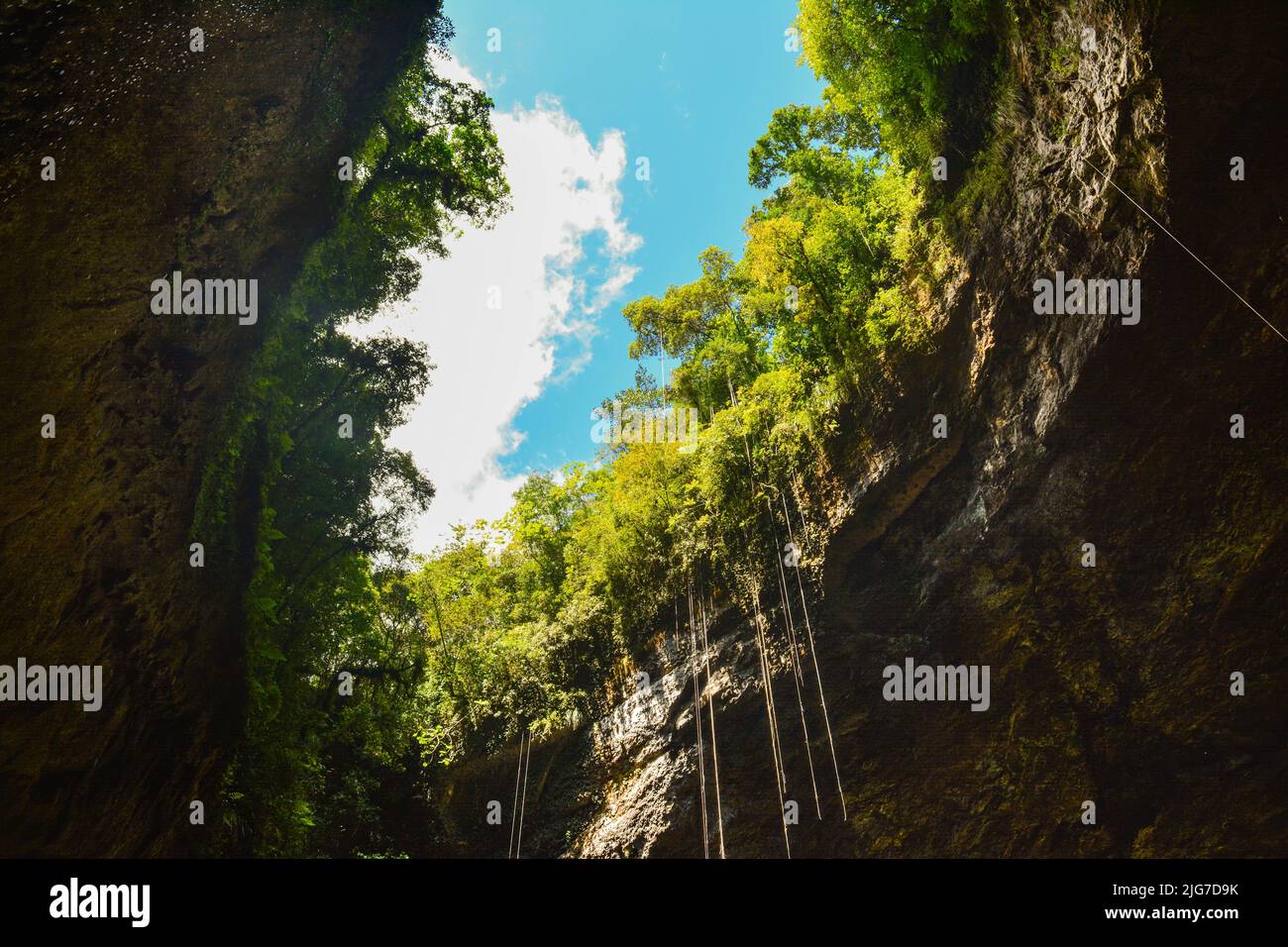 I did not see anything. Everything was dark. I walked and walked ...