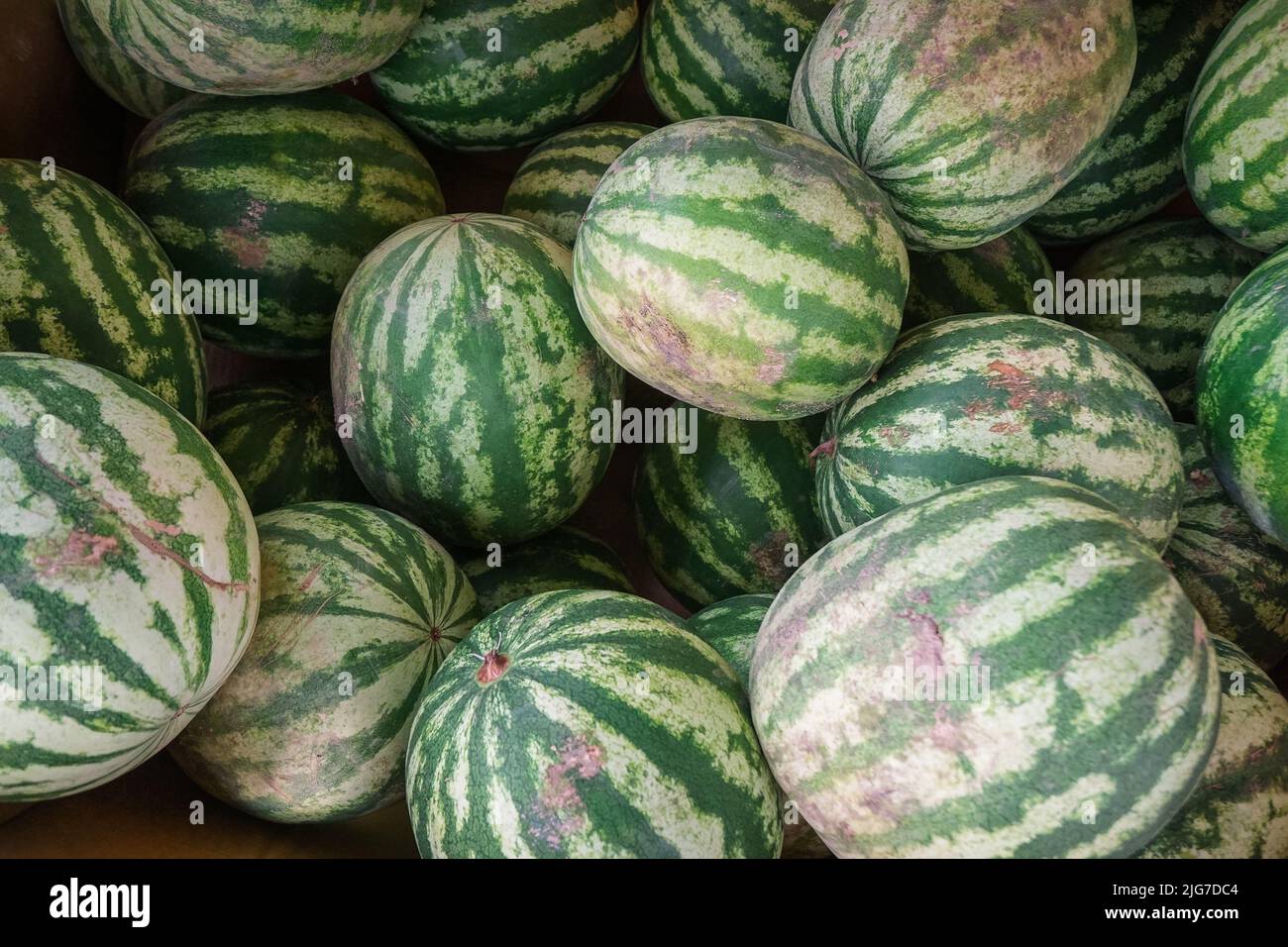 Pile of watermelons hi-res stock photography and images - Alamy