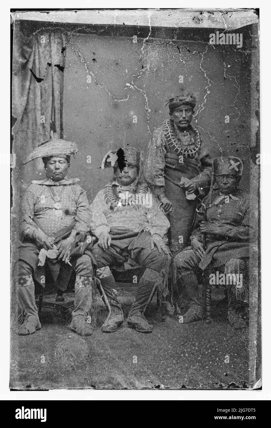 C b fox Cut Out Stock Images & Pictures - Alamy