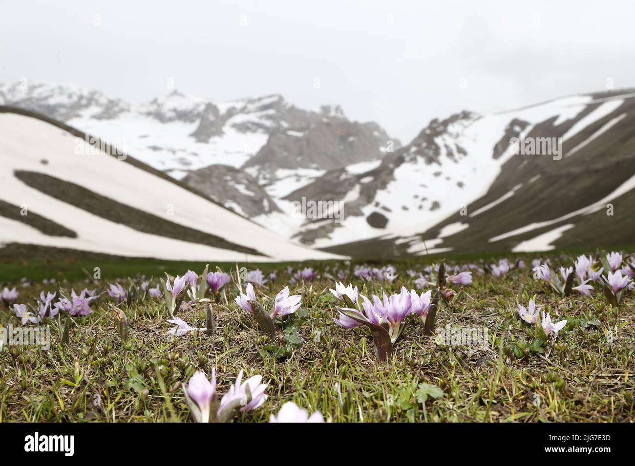 Ancient Roman Empire Structures Stock Photo - Alamy