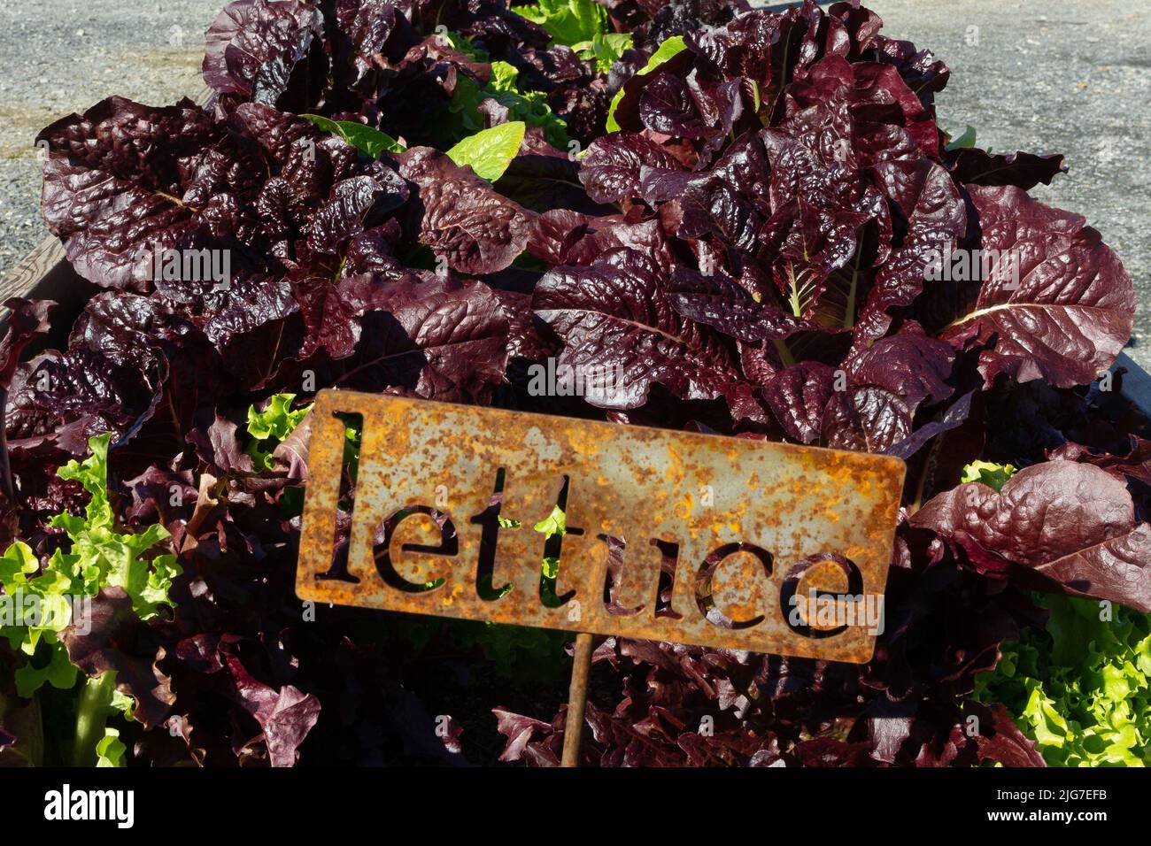 Labeled garden hi-res stock photography and images - Alamy