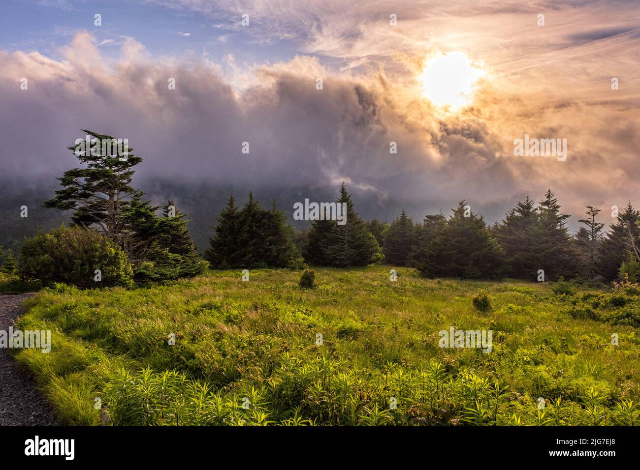 Storm clouds roll in beneath a setting sun over a lush meadow in the ...