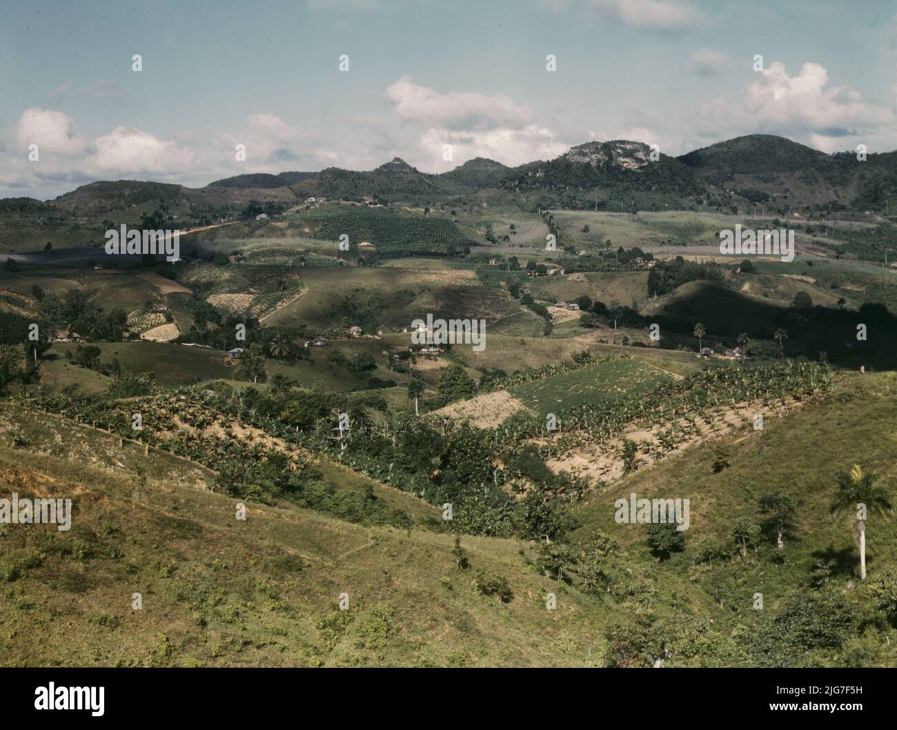 Small farms in the hills, vicinity of Corozal, Puerto Rico Stock Photo ...