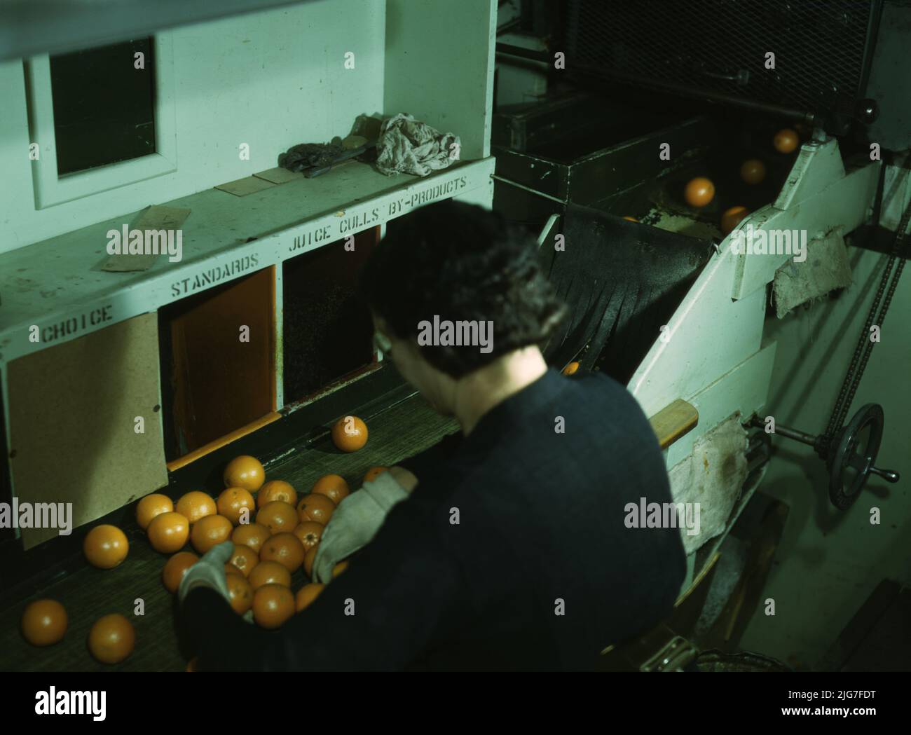 Fruit sorting grading hi-res stock photography and images - Alamy