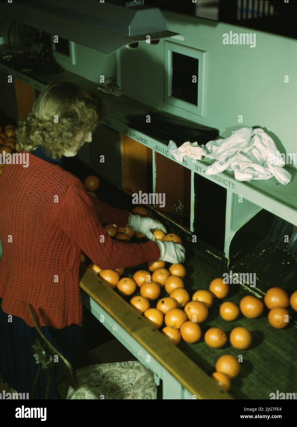 Fruit sorting grading hi-res stock photography and images - Alamy