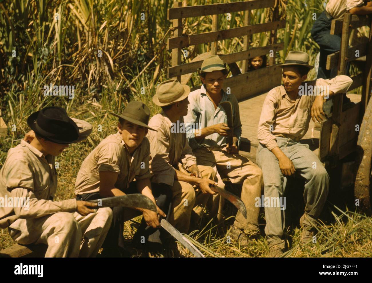 Sugar cane workers resting, Rio Piedras, Puerto Rico Stock Photo - Alamy