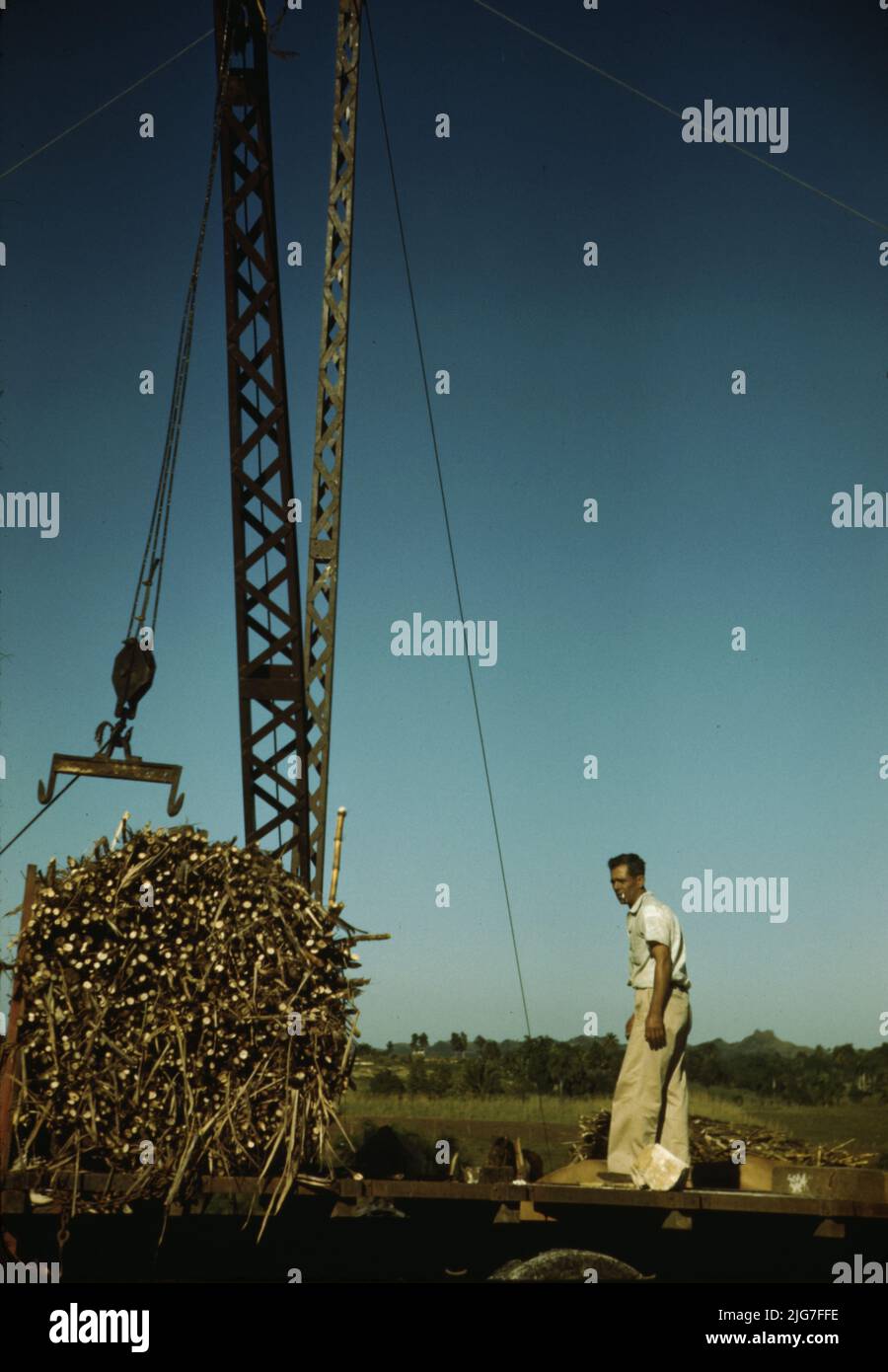 Crane at a "central" sugar cane gathering place, San Sebastian vicinity ...