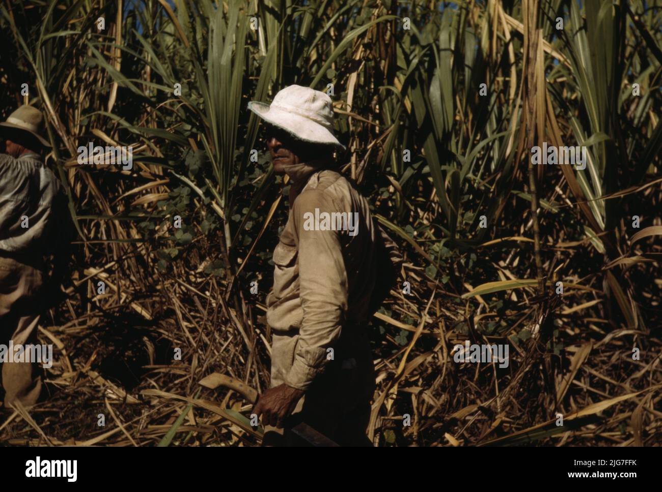 African american fields 1940s hi-res stock photography and images - Alamy