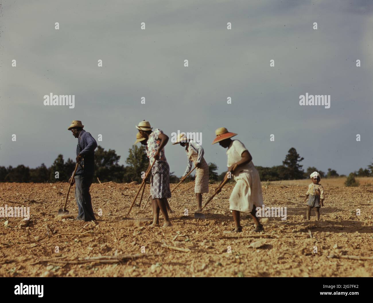 African american fields 1940s hi-res stock photography and images - Alamy