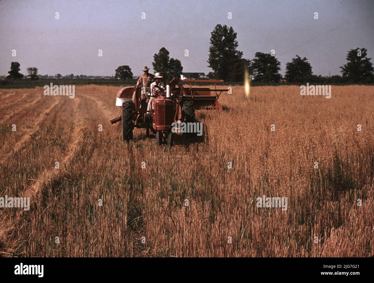 Harvesting oats, southeastern Georgia Stock Photo - Alamy