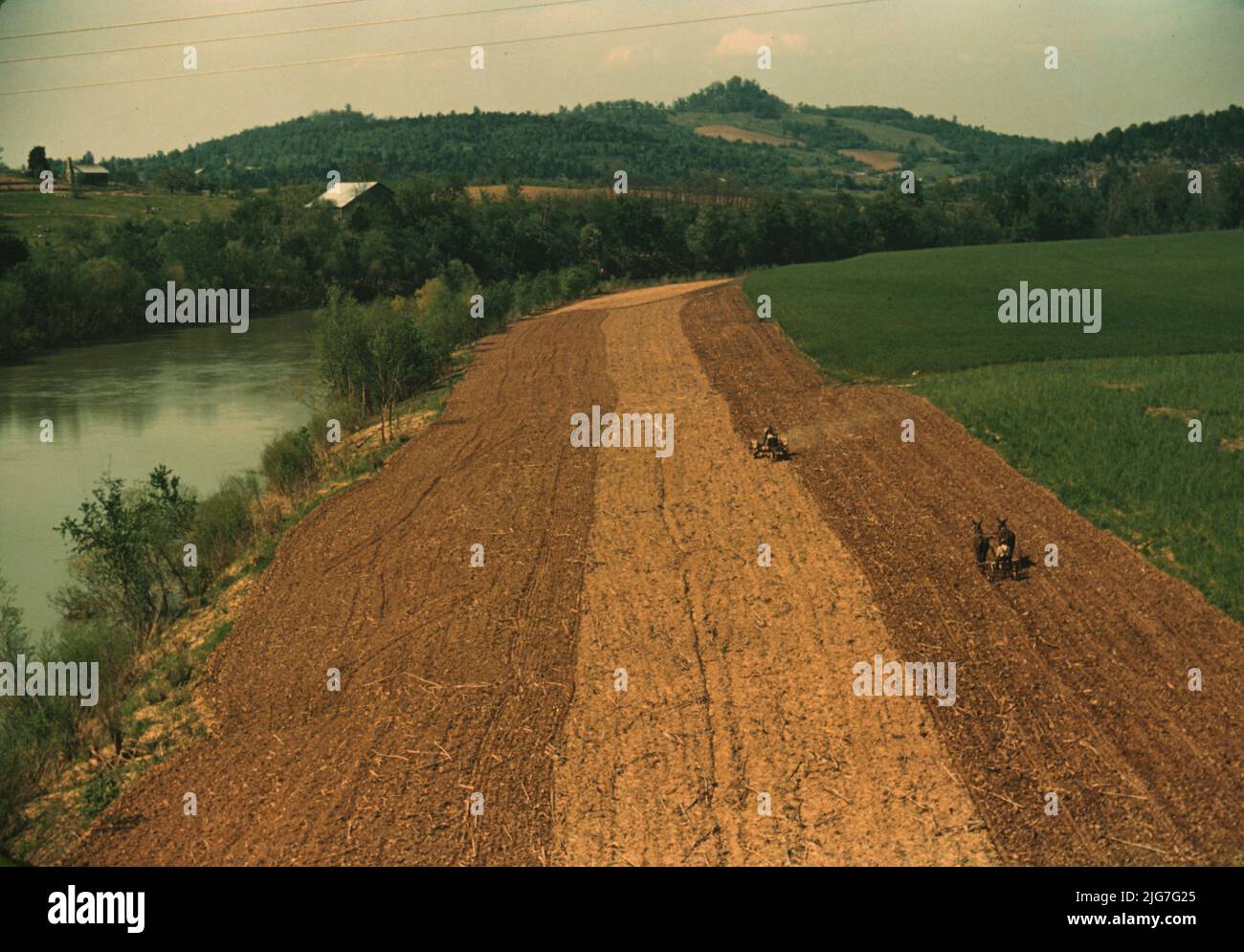 Planting corn along a river in northeastern Tennessee Stock Photo - Alamy