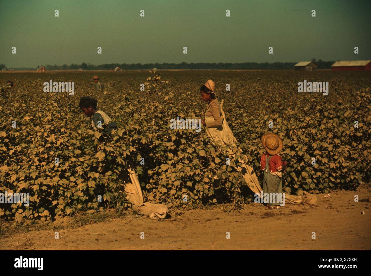 1940s female laborers hi-res stock photography and images - Alamy