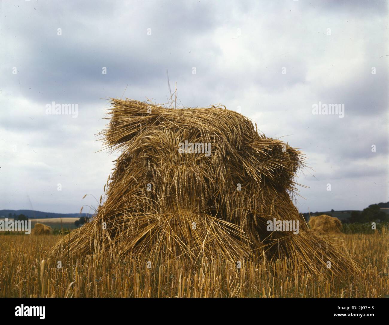 1940s farming ww2 hi-res stock photography and images - Alamy
