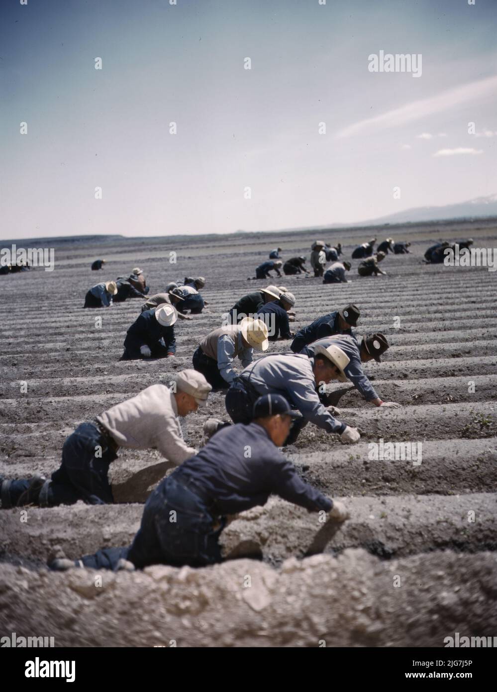 Japanese america ww2 relocation evacuation war hi-res stock photography ...