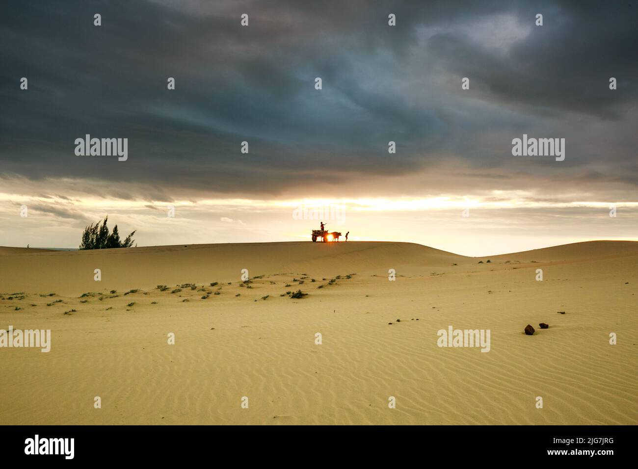 Beautiful view of sand dunes under sunny blue cloud sky in Nam Cuong ...