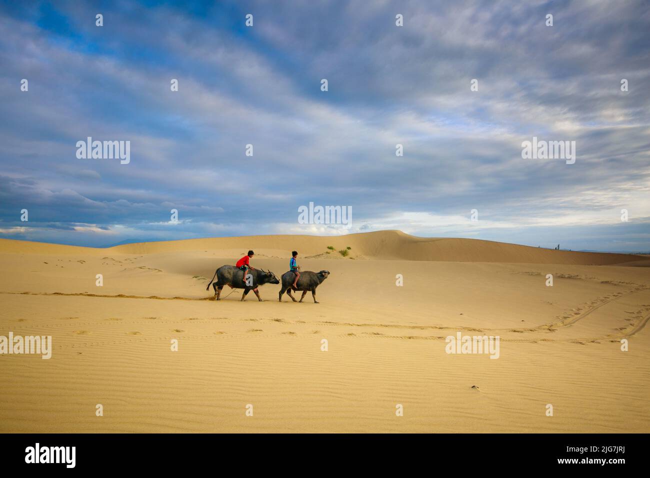 Beautiful view of sand dunes under sunny blue cloud sky in Nam Cuong ...
