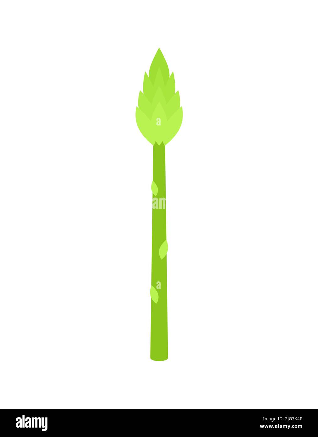 Sparrowgrass Stock Vector Images - Alamy