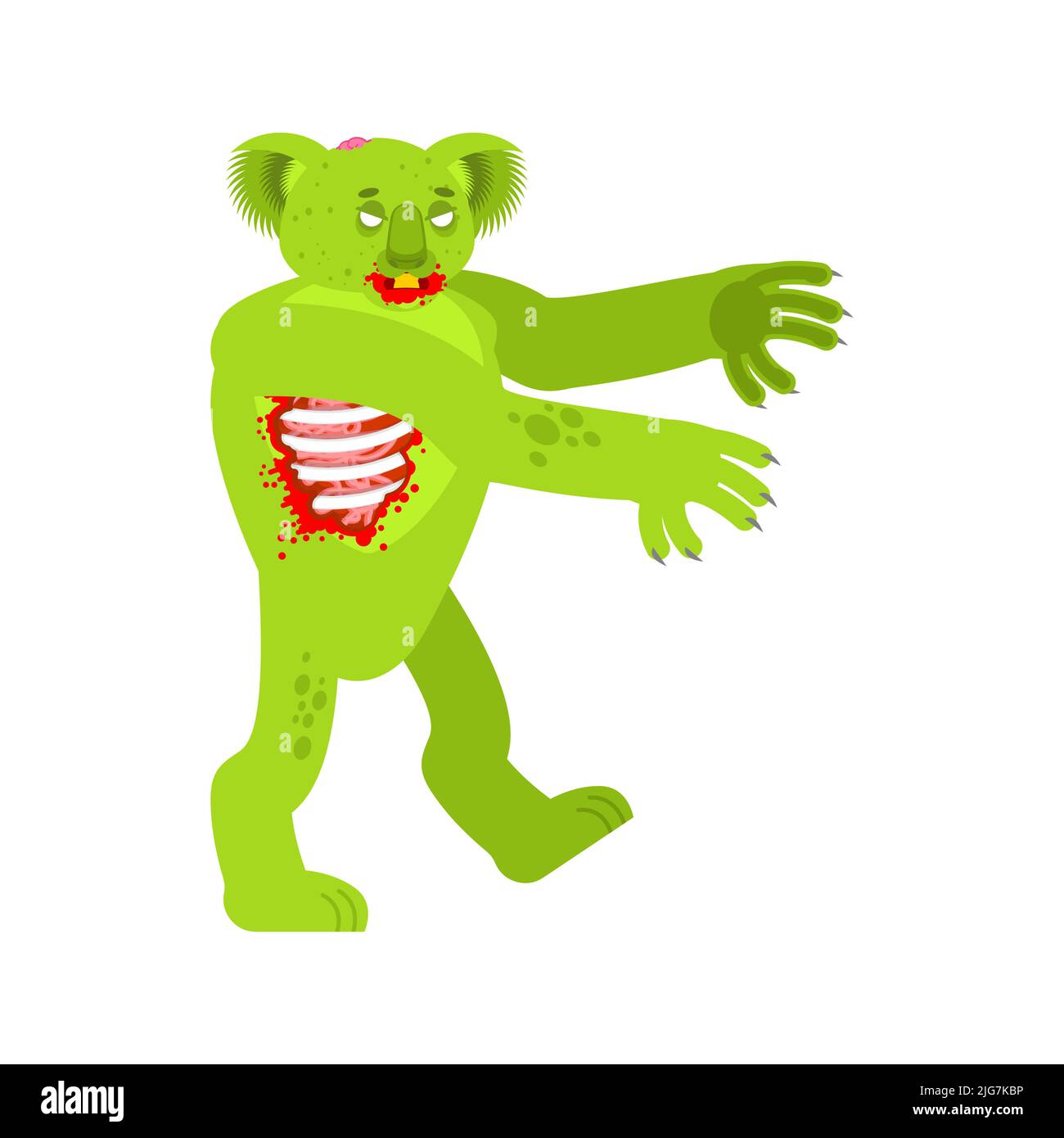 Koala zombie. koala bear zombi isolated. Vector illustration Stock ...