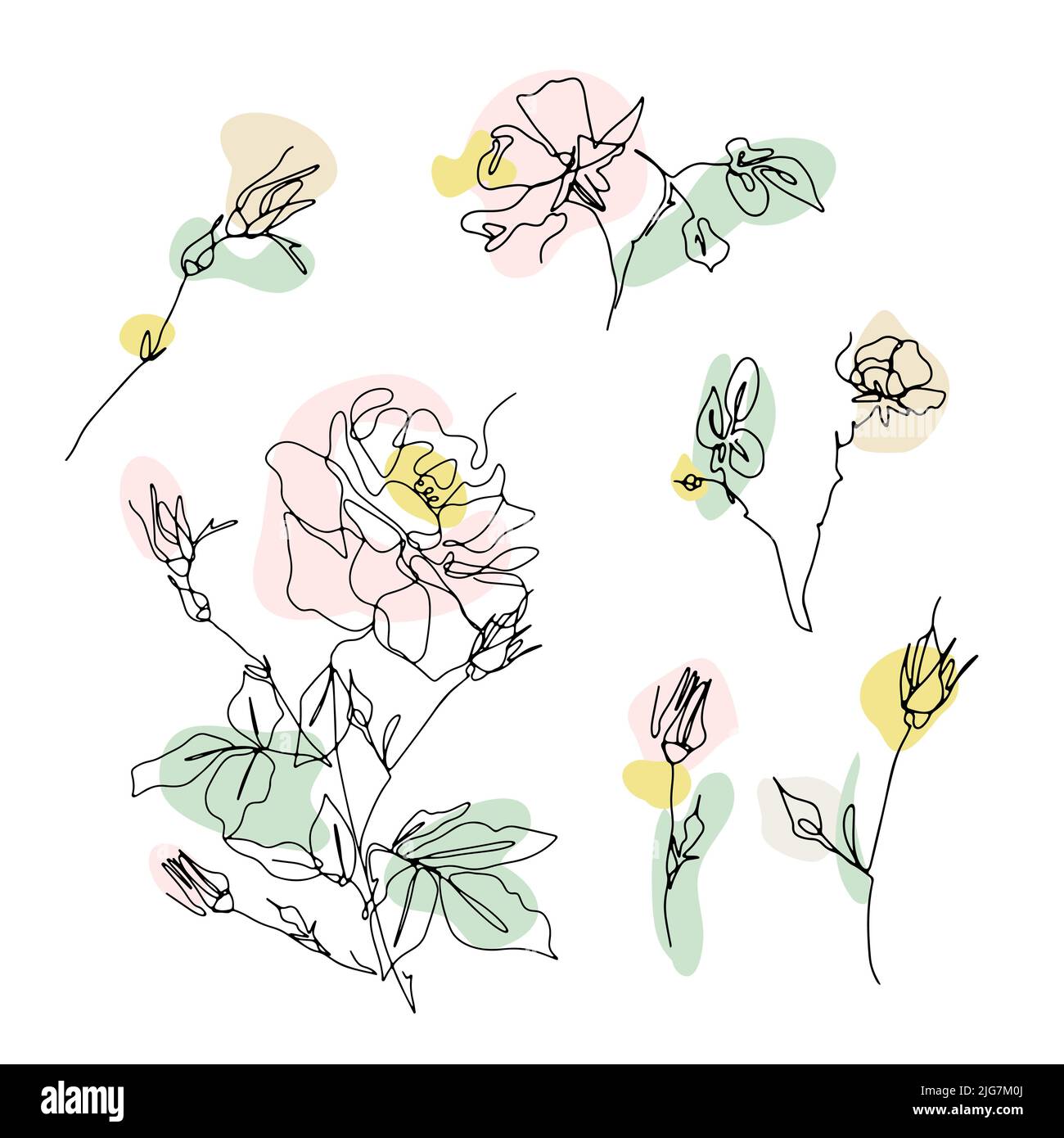 Set of one line drawing roses clip art. Hand drawn single line flower ...