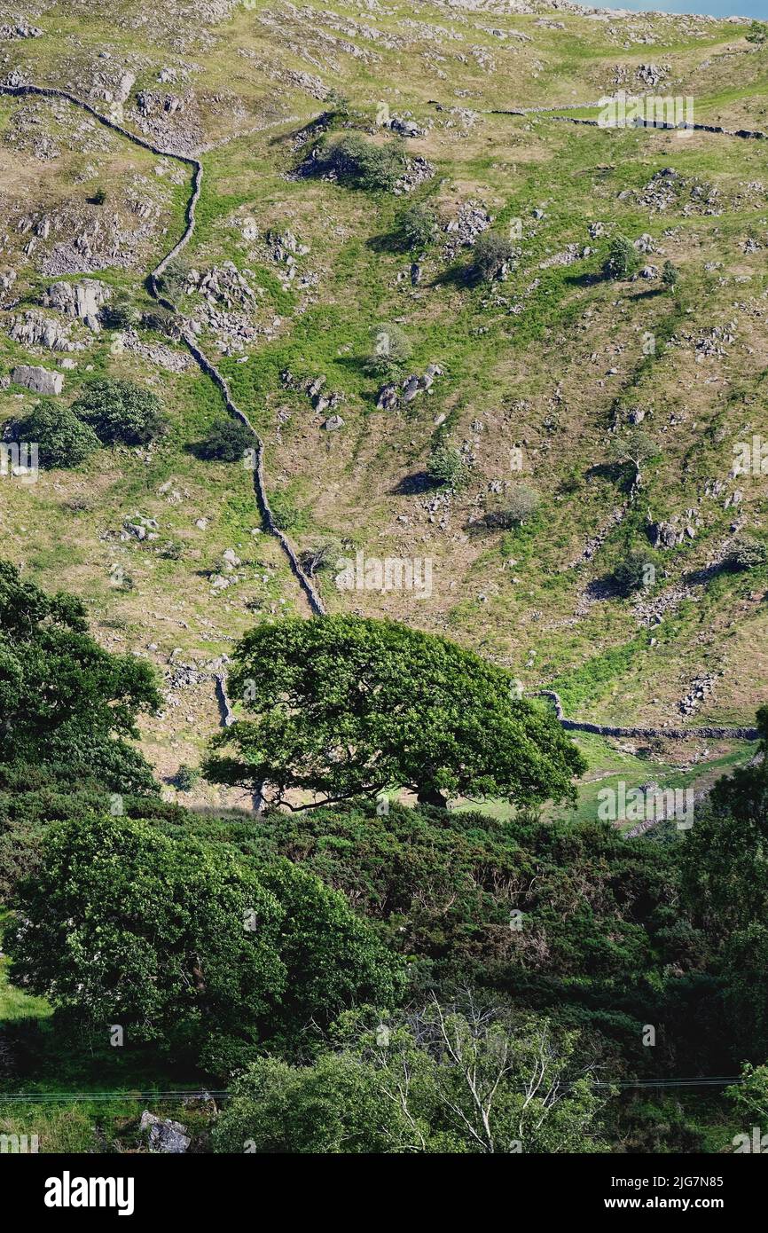 The view from Eskdale Green of Brantrake Crags And Fells on a summers ...