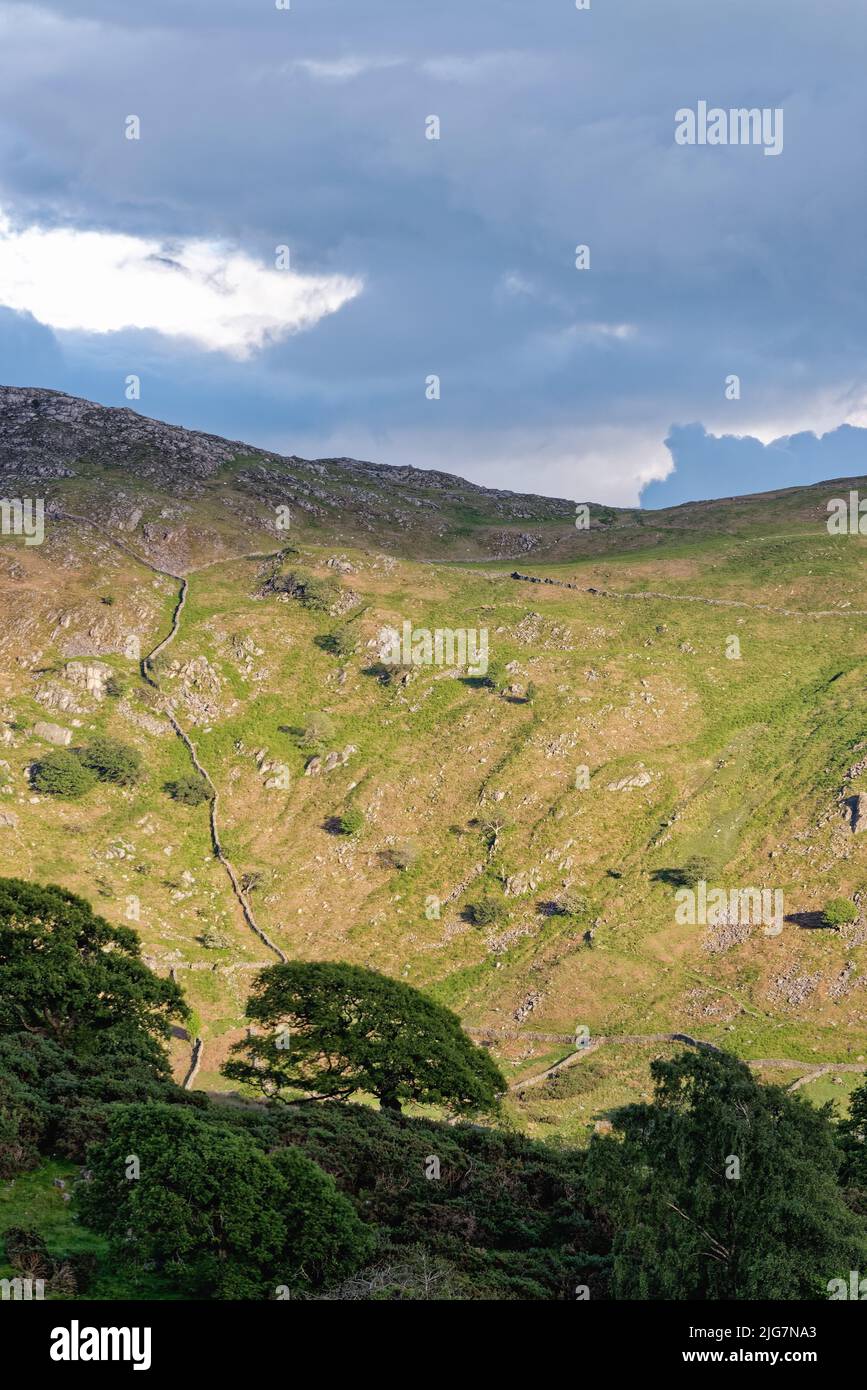 The view from Eskdale Green of Brantrake Crags And Fells on a summers ...