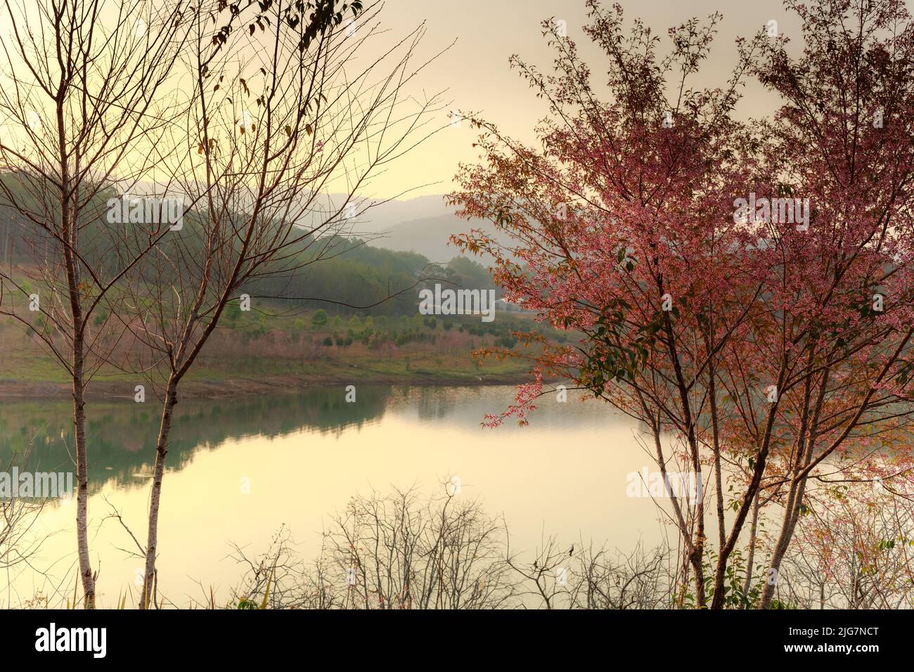 Sunset on Tuyen Lam Lake in Da Lat, Vietnam Stock Photo - Alamy