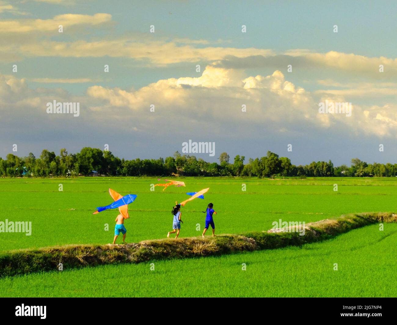 Children playing in rice field hi-res stock photography and images - Alamy