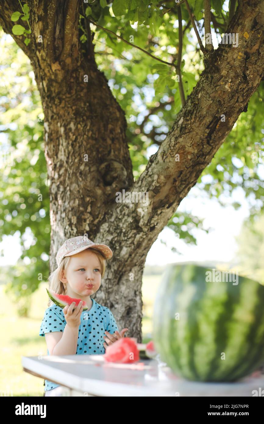 cute little girl eating watermelon outdoors in summertime. Child and ...