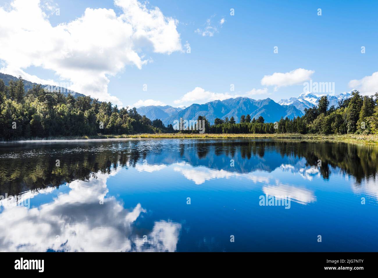 A mesmerizing view of Lake Matheson surrounded by trees in South Island ...