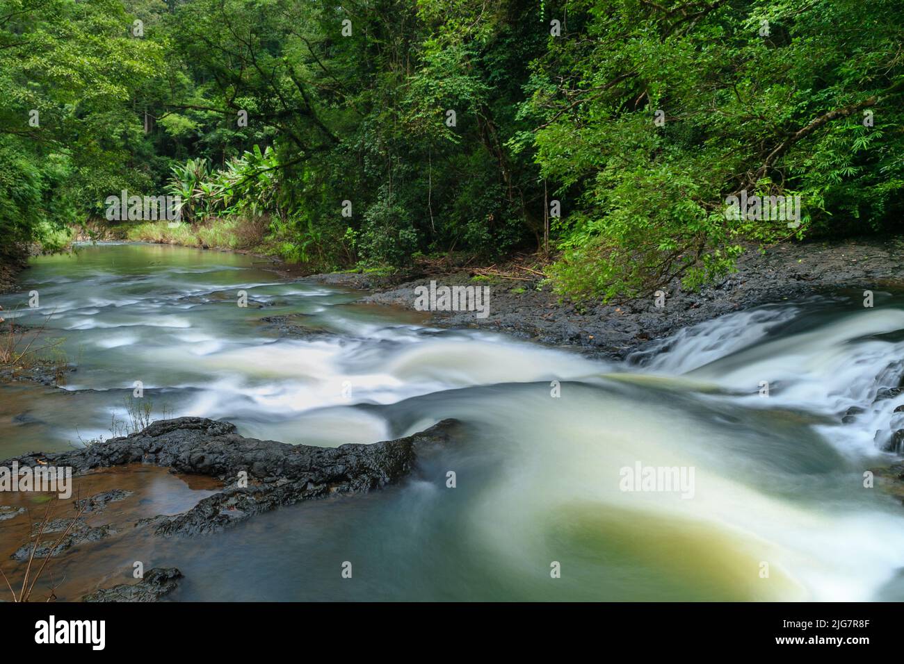 Stream in the rainforest. Amazing peaceful and relaxing mountain nature ...