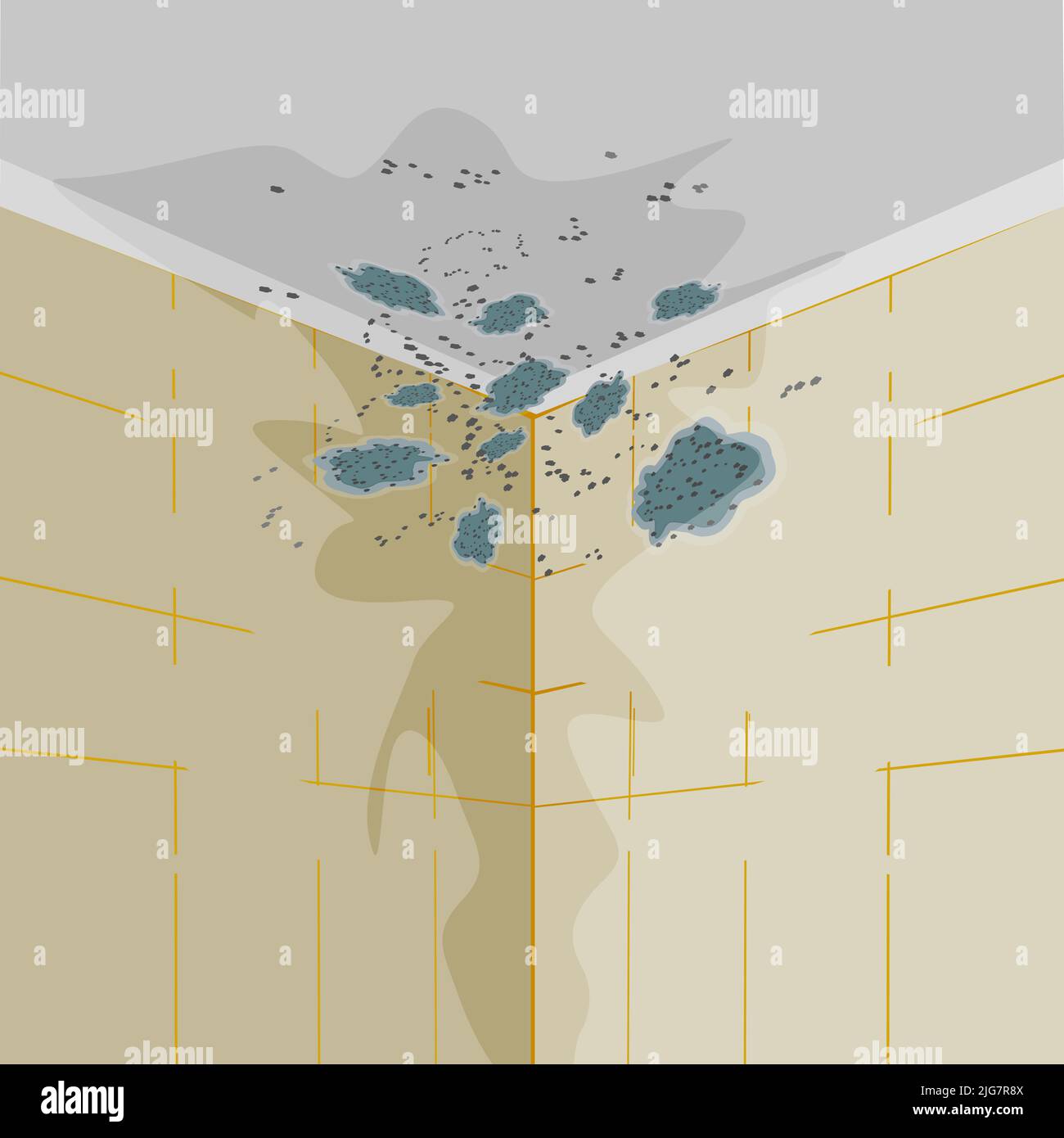 Mould in room damp Stock Vector Images - Alamy