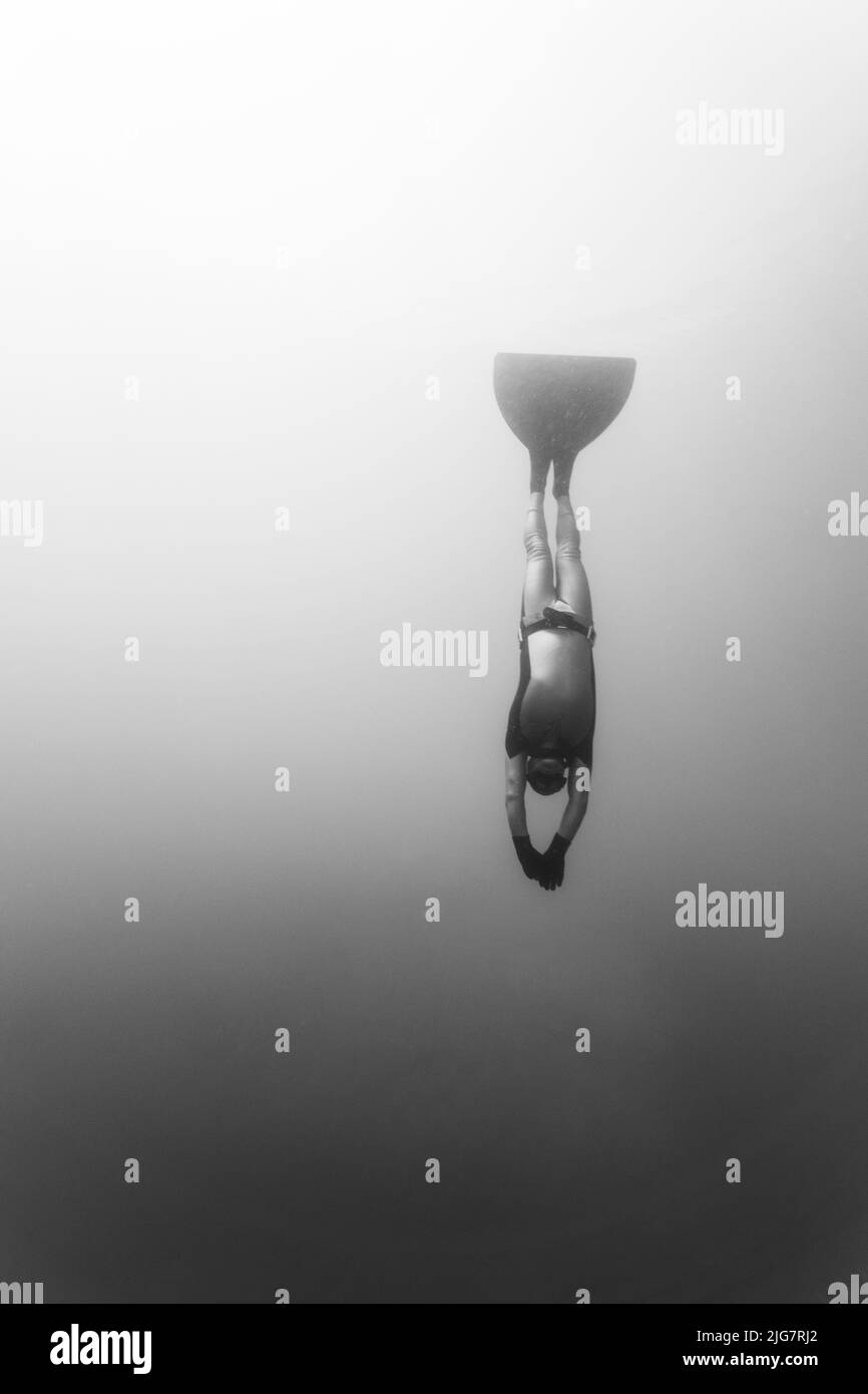 A vertical black and white of a person free-diving underwater Stock ...