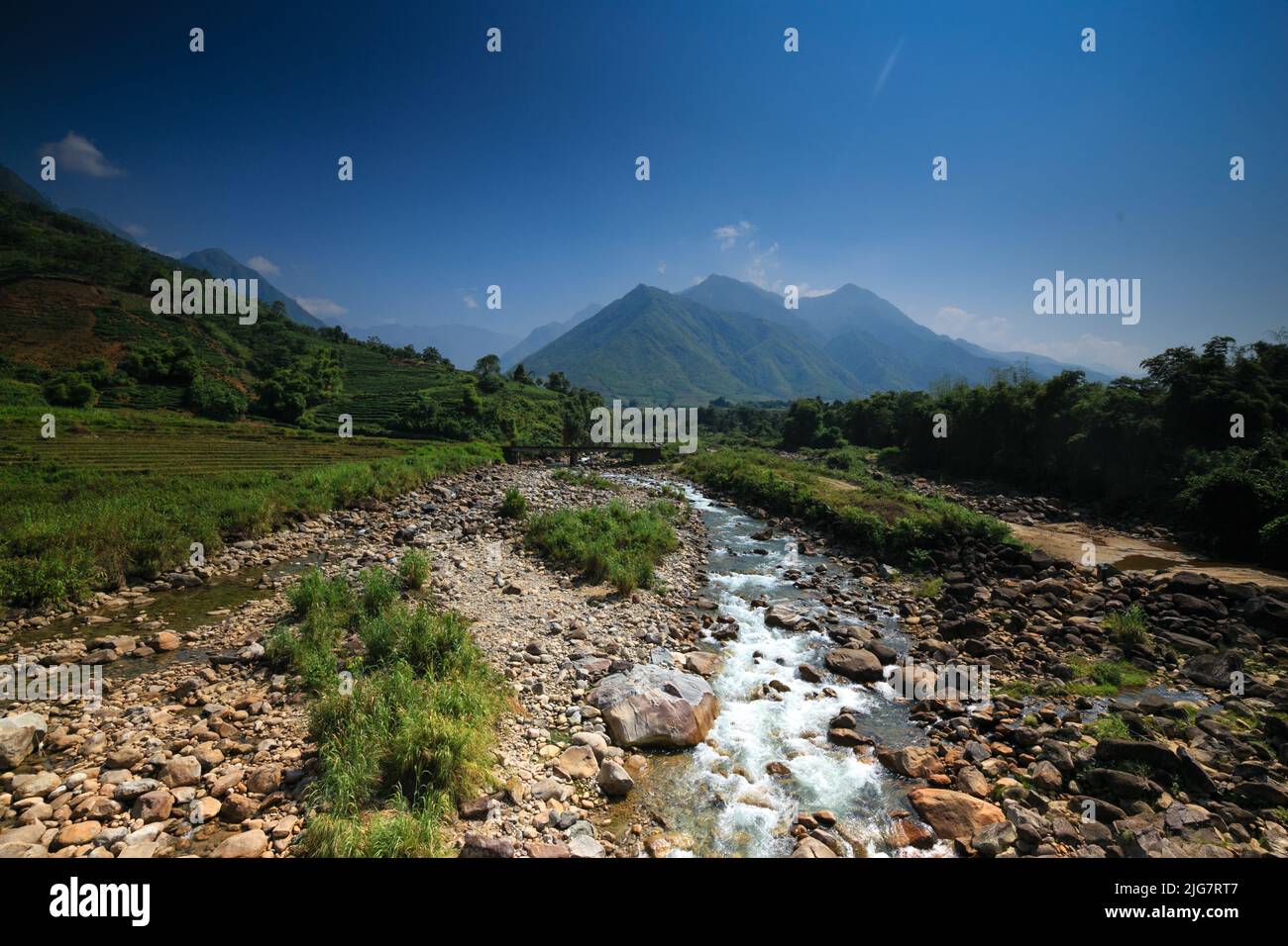 Stream in the rainforest. Amazing peaceful and relaxing mountain nature ...